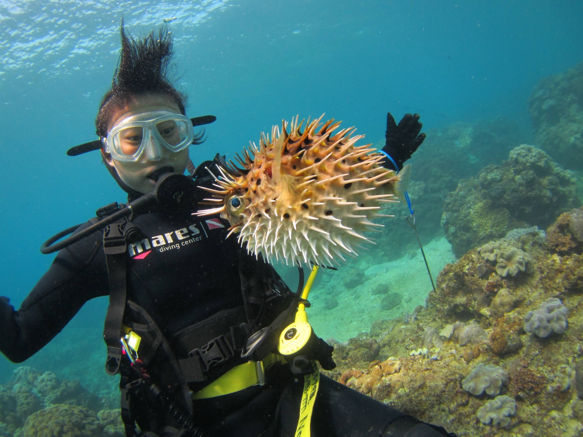 Chatan Sunabe boat fun diving - DIVE IN CHTANA｜Diving & snorkeling shop ...