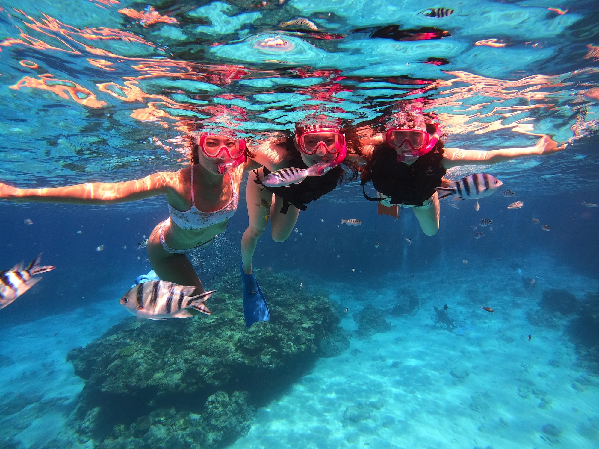 Kerama Islands boat snorkeling - DIVE IN CHATAN｜오키나와 본섬의 다이빙 & 스노클링 숍