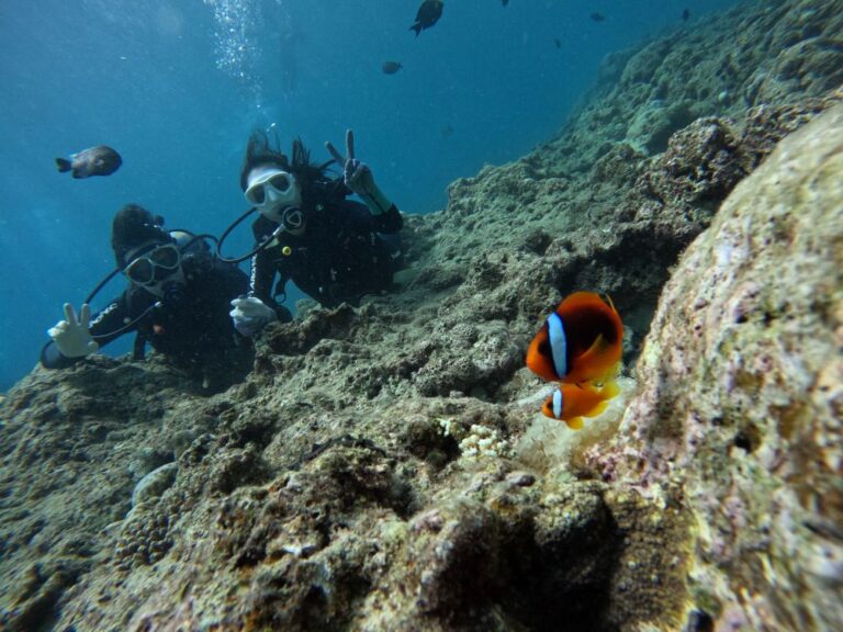 青の洞窟ビーチ体験ダイビング - DIVE IN CHATAN｜沖縄本島のダイビング＆スノーケリングショップ