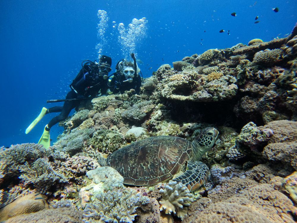 慶良間諸島ボート体験ダイビング - DIVE IN CHATAN｜沖縄本島のダイビング＆スノーケリングショップ